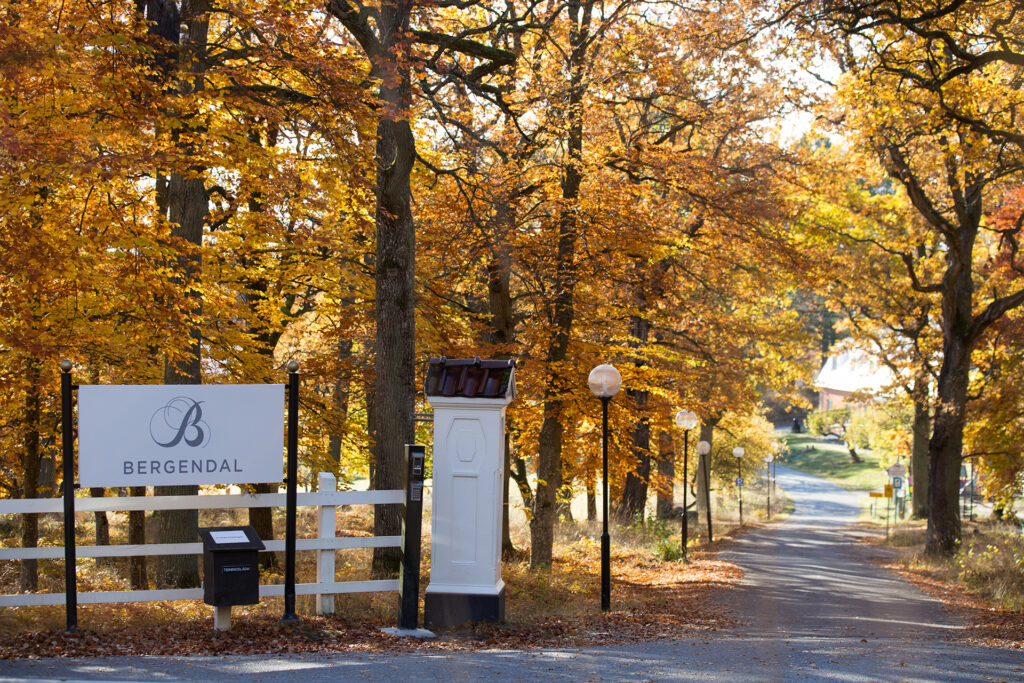 Bildgalleri - bergendal.se